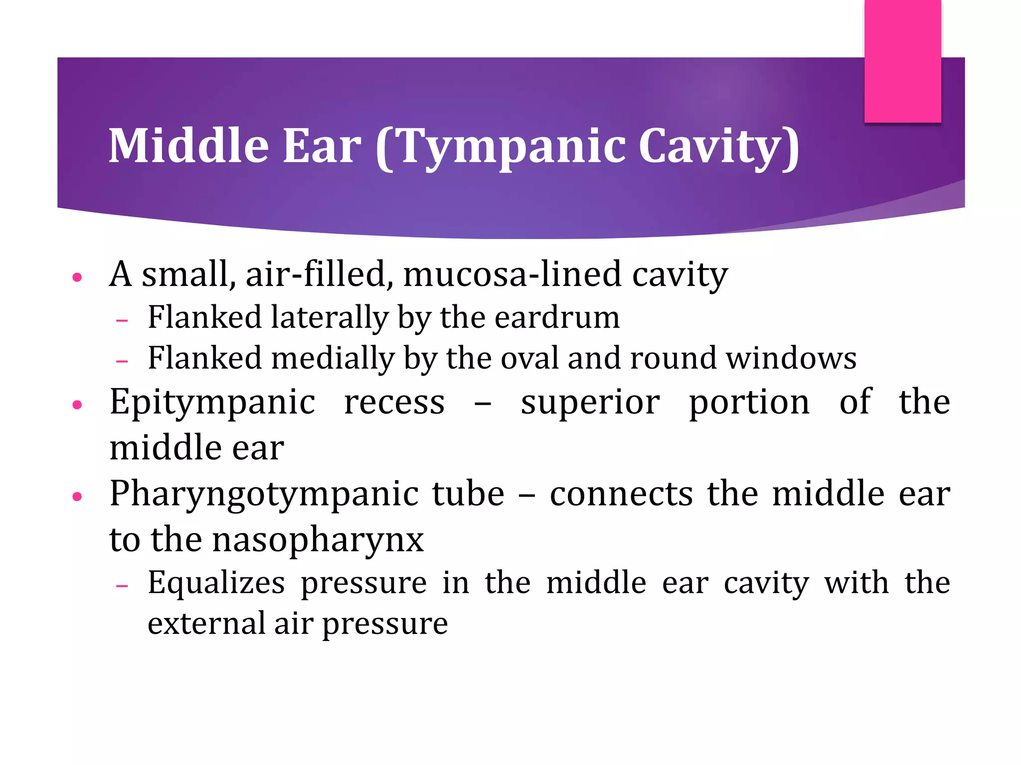 The special senses - hearing | PPTX
