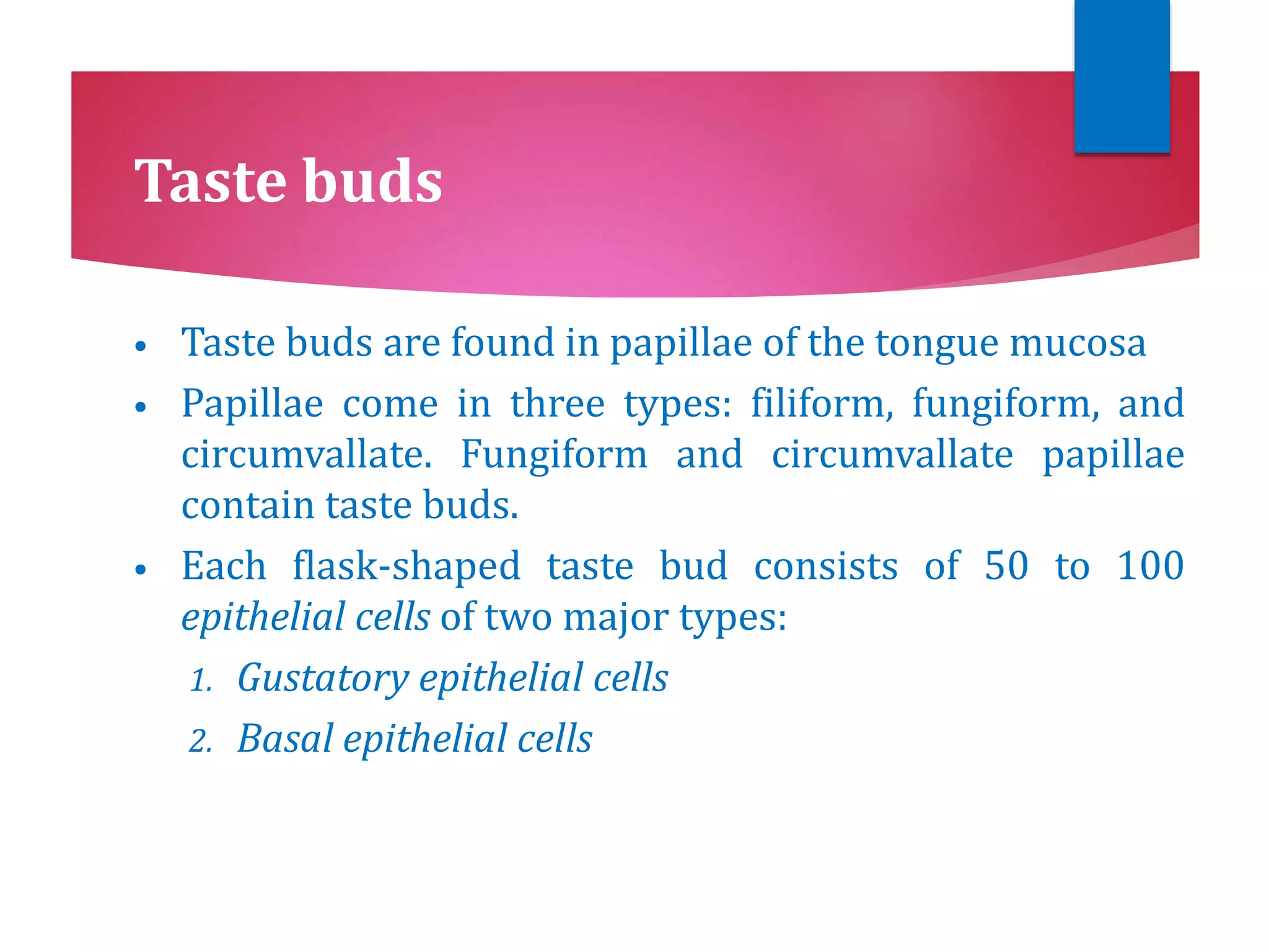 The special senses - Taste | PPTX