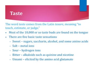 The special senses - Taste | PPTX