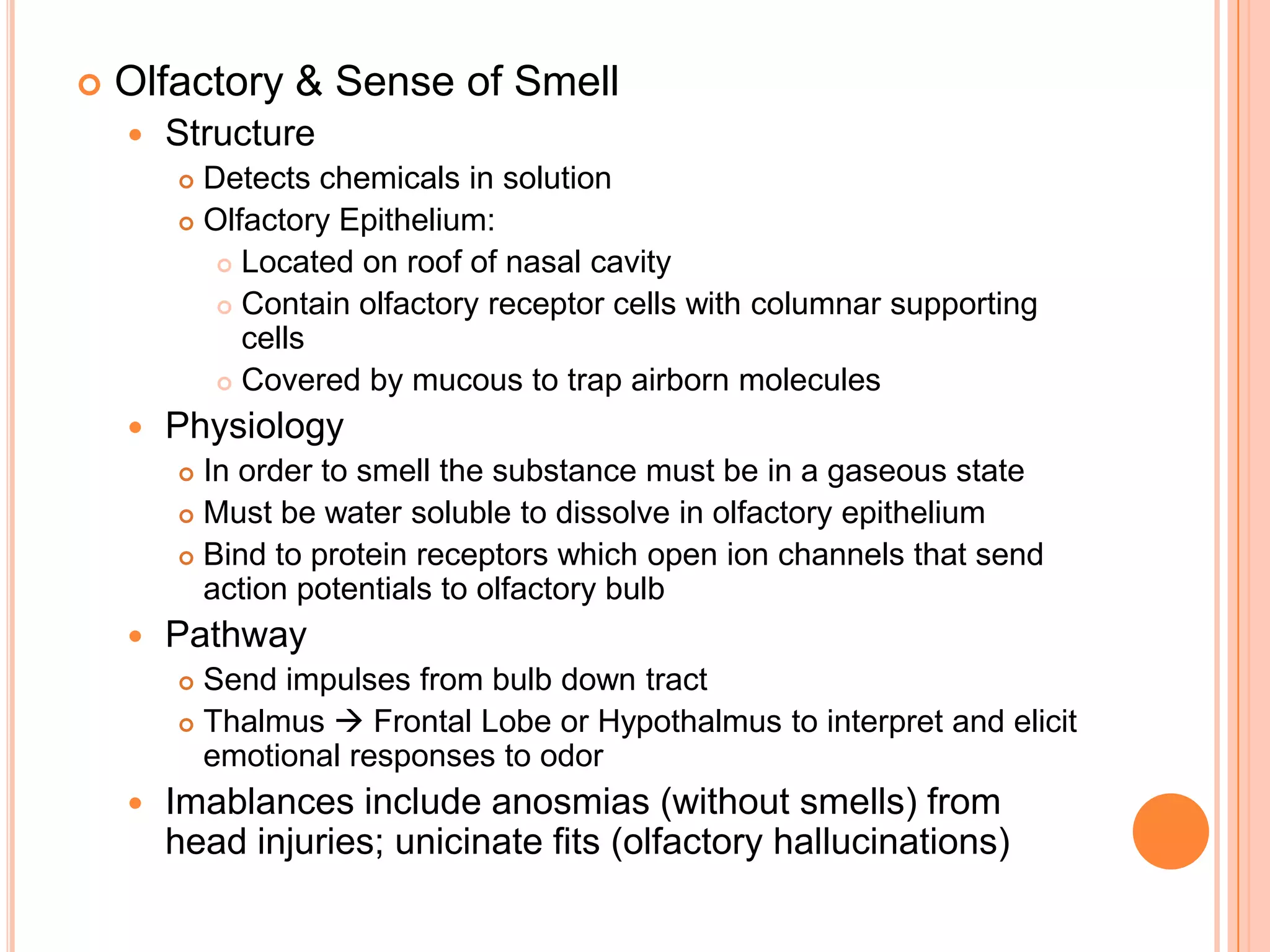 The special senses ~ powerpoint by victoria | PPTX