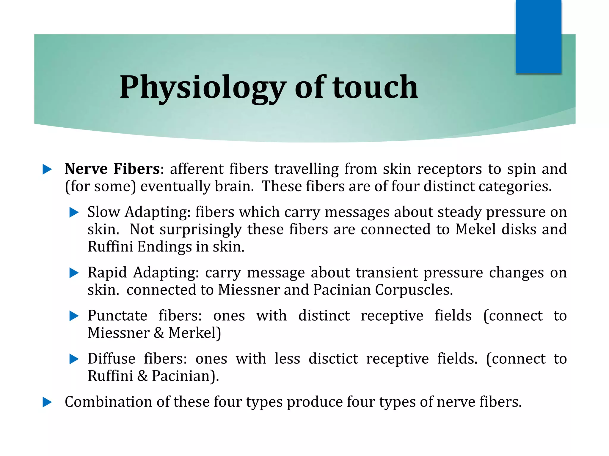 The special senses - Touch | PPTX