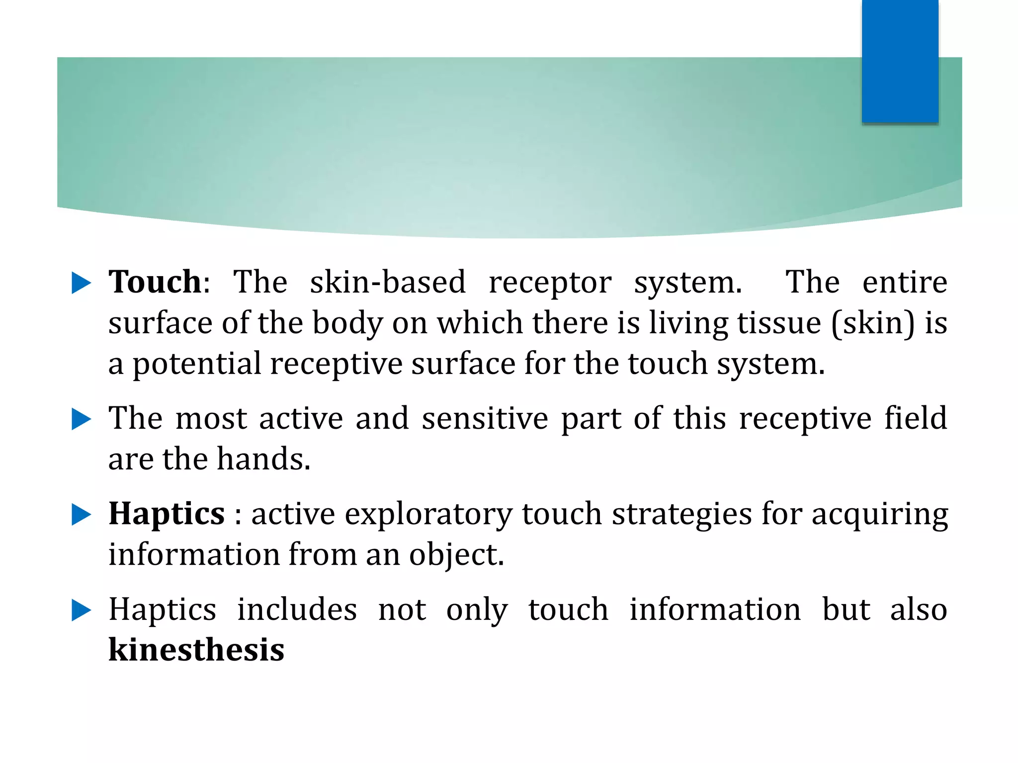 The special senses - Touch | PPTX