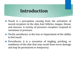 The special senses - Touch | PPTX