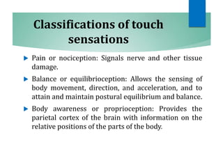 The special senses - Touch | PPTX