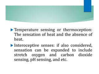The special senses - Touch | PPTX