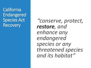 The Species Reintroduction Toolbox | PDF