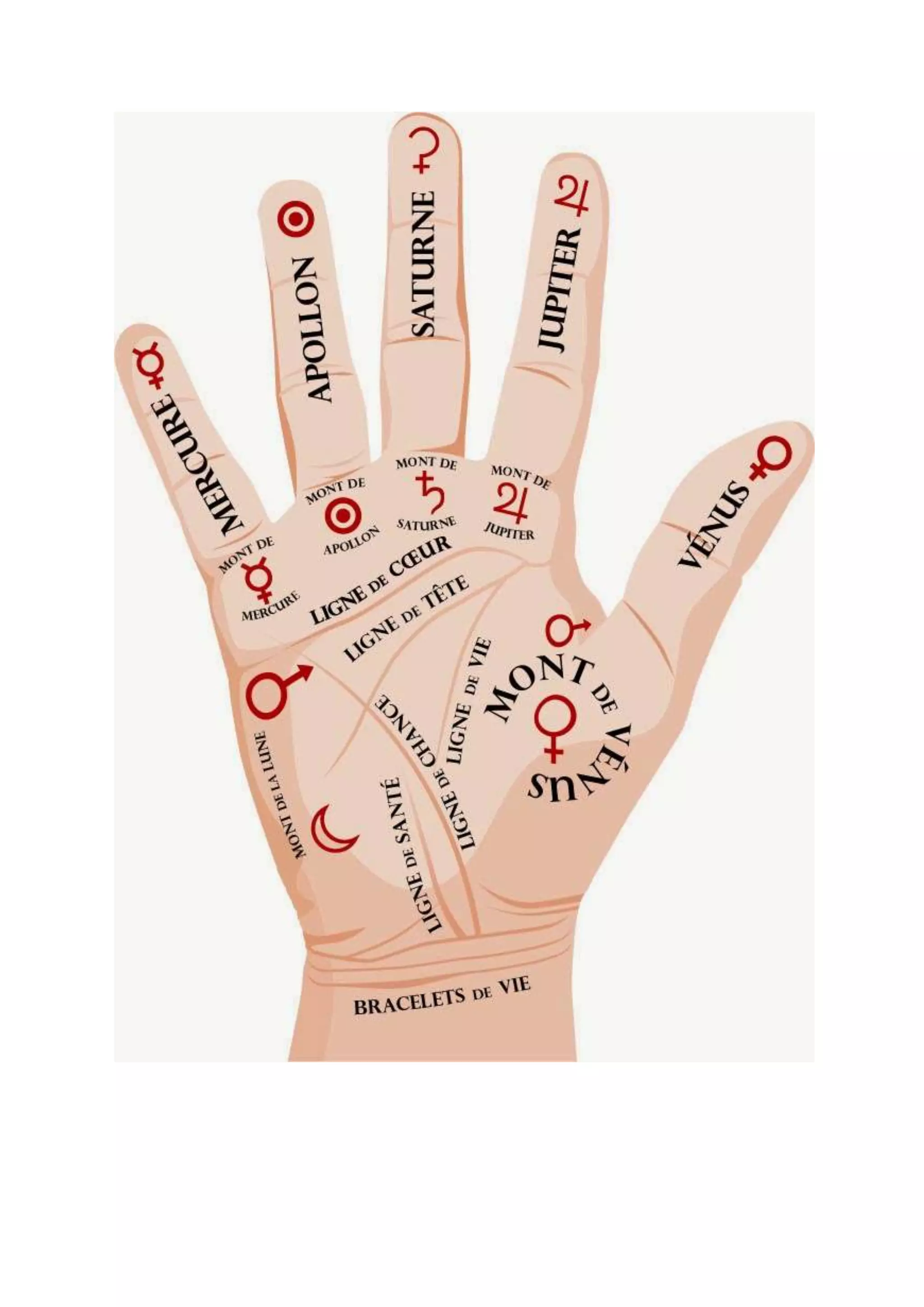 The specific names for star sun segment for hand astrology snap photo ...