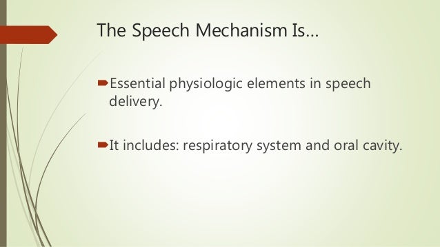 The speech mechanism