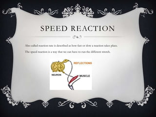 The speed | PPT