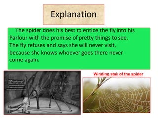 The Spider and the Fly (1) (1).pptx