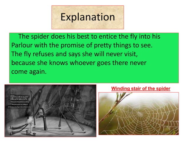 The Spider and the Fly (1) (1).pptx