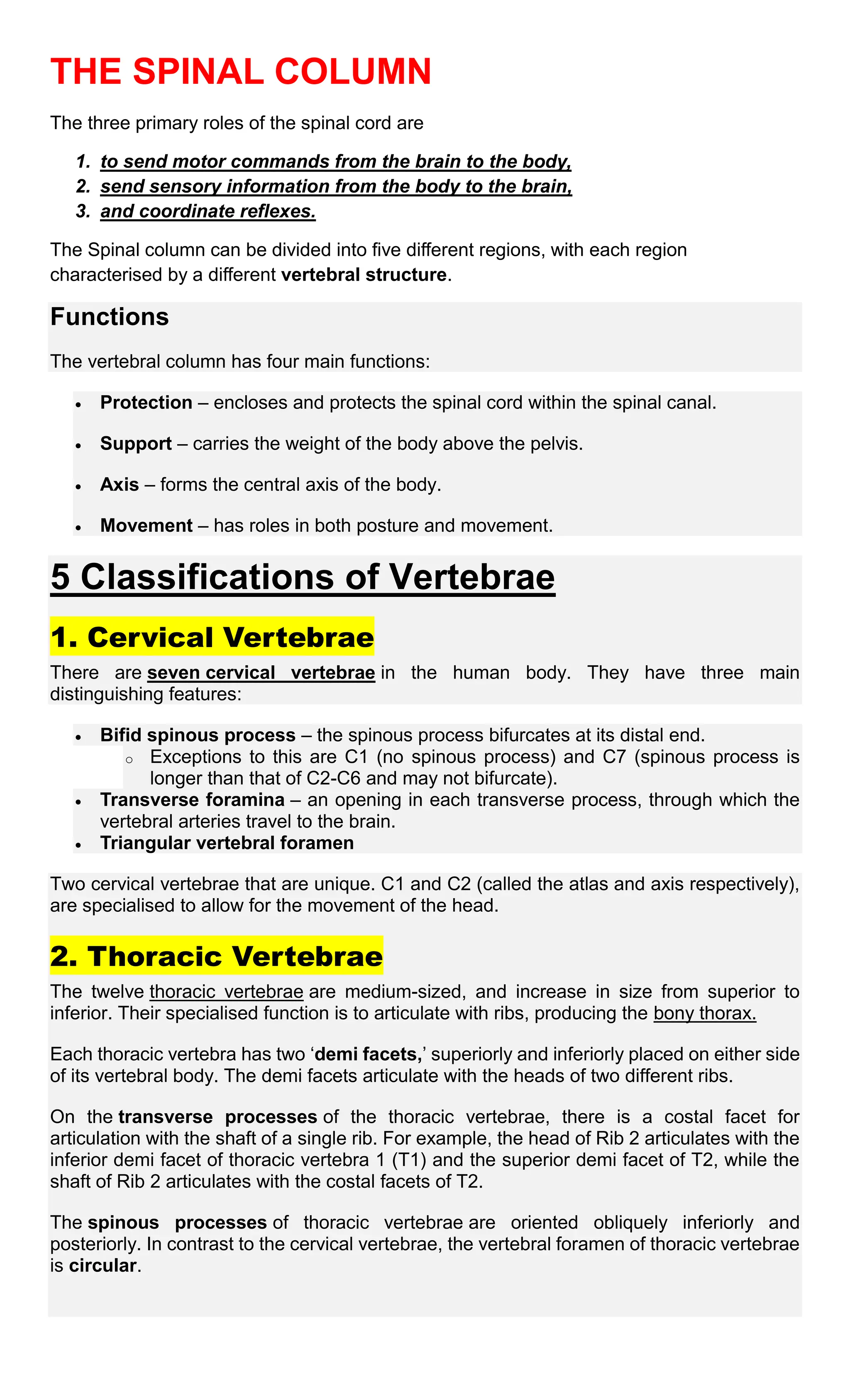 The Spinal Column The parts of Spinal Column .docx