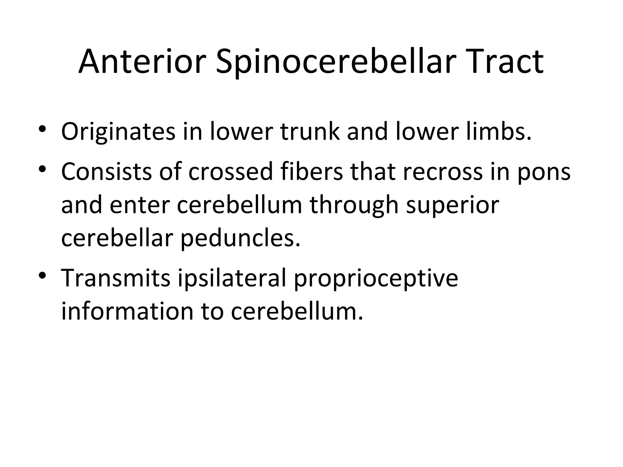The spinal cord | PPT