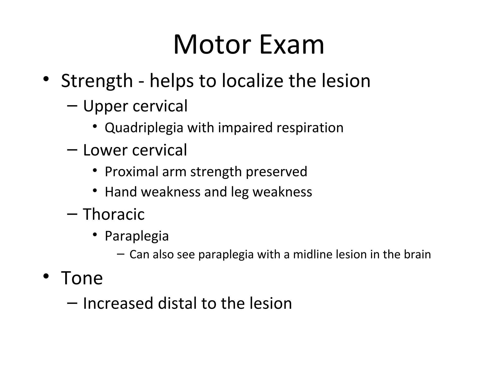 The spinal cord | PPT