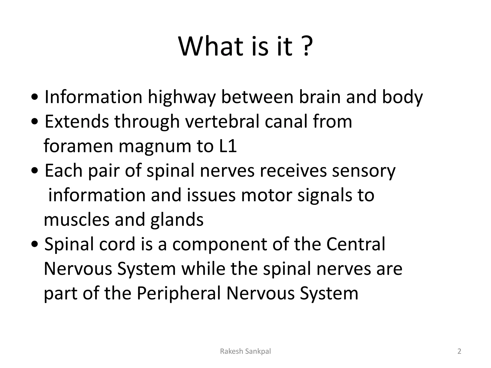 The spinal cord anatomy | PPTX