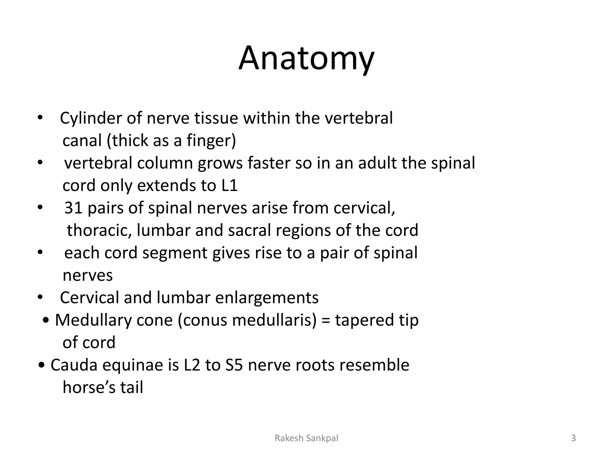 The spinal cord anatomy | PPTX
