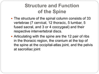 The spine | PPTX