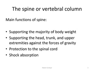 The spine anatomy | PPTX