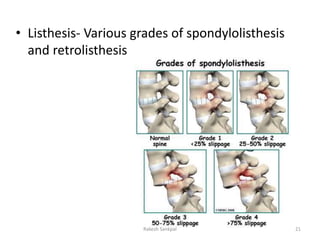 The spine anatomy | PPTX