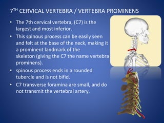 THE SPINE (cervical spine) | PPTX | Death, Injury, or Military Conflict ...