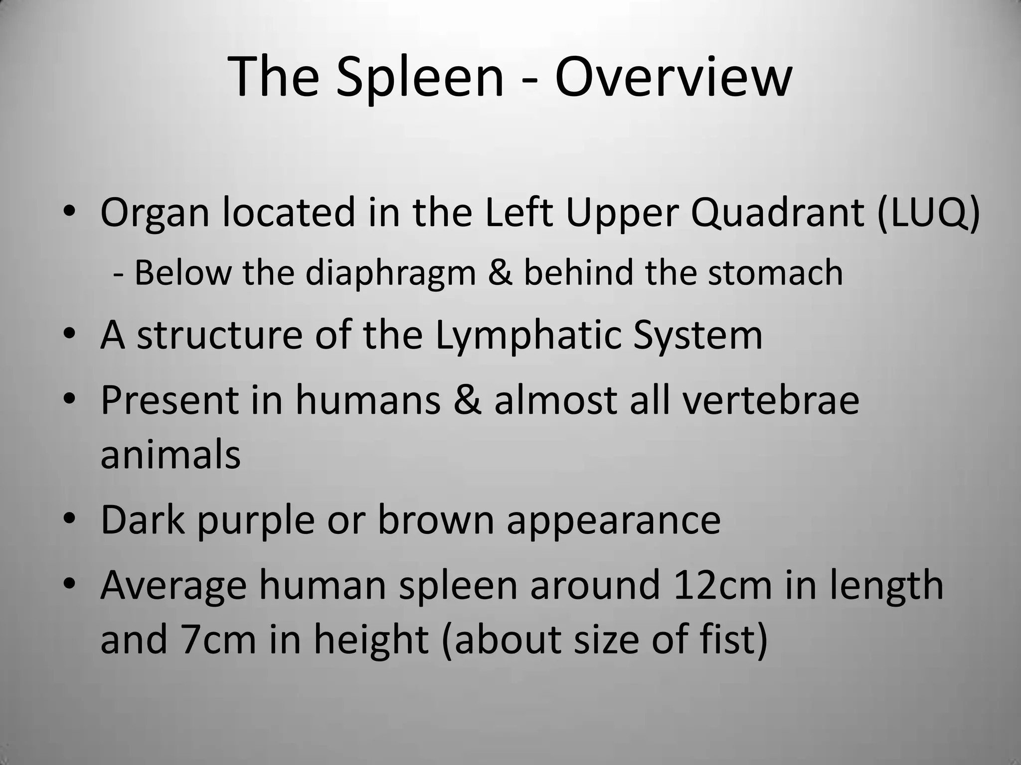 The Spleen | PPTX