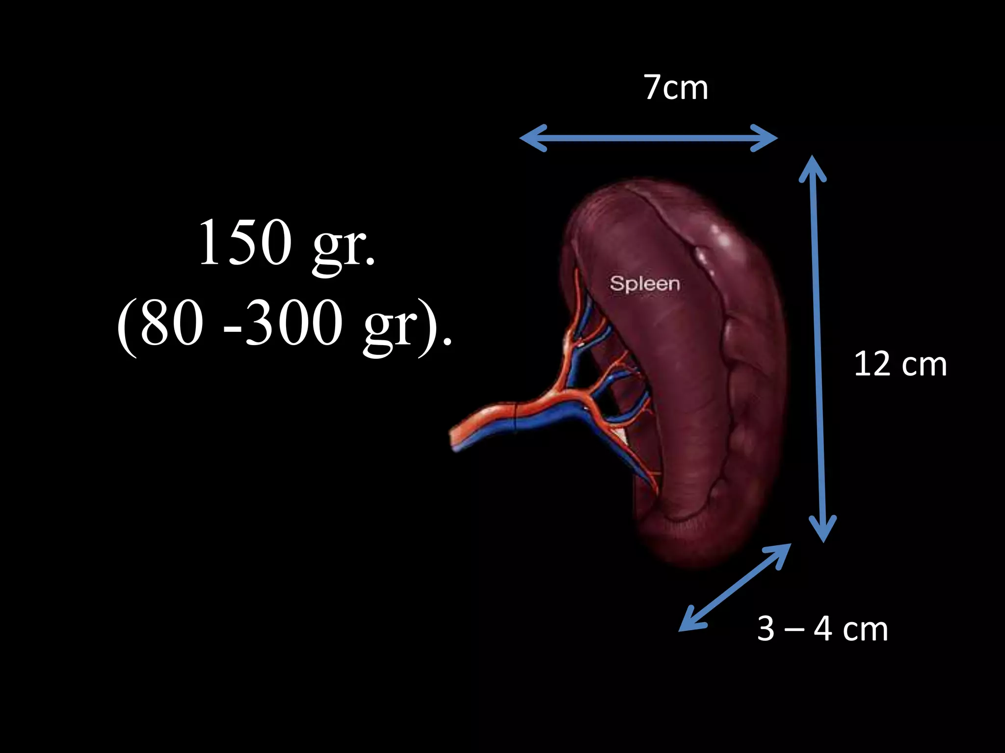 The spleen in surgery in general | PPTX