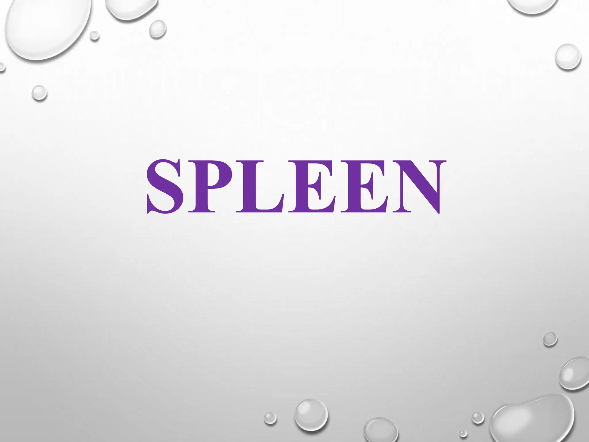 the anatomy of spleen avery good read.pptx