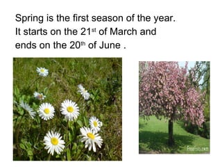 The Spring | PPT