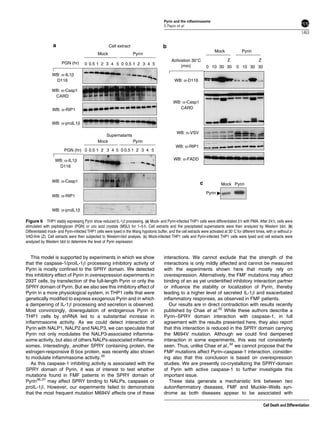 The SPRY domain of pyrin, mutated in familial mediterranean fever | PDF