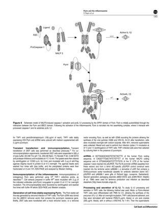 The SPRY domain of pyrin, mutated in familial mediterranean fever | PDF