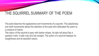 The squirrel | PPTX