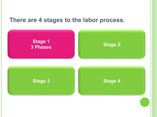The stages of labor | PPTX
