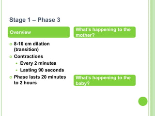 The stages of labor | PPTX