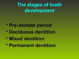 The stages of tooth development-predentate and dentate periods | PPTX