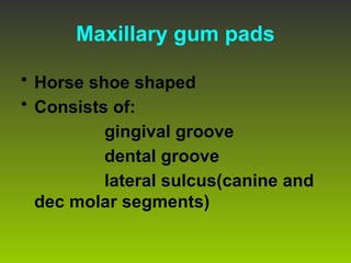 The stages of tooth development-predentate and dentate periods | PPTX
