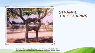 The stalled ox by Saki | PPTX