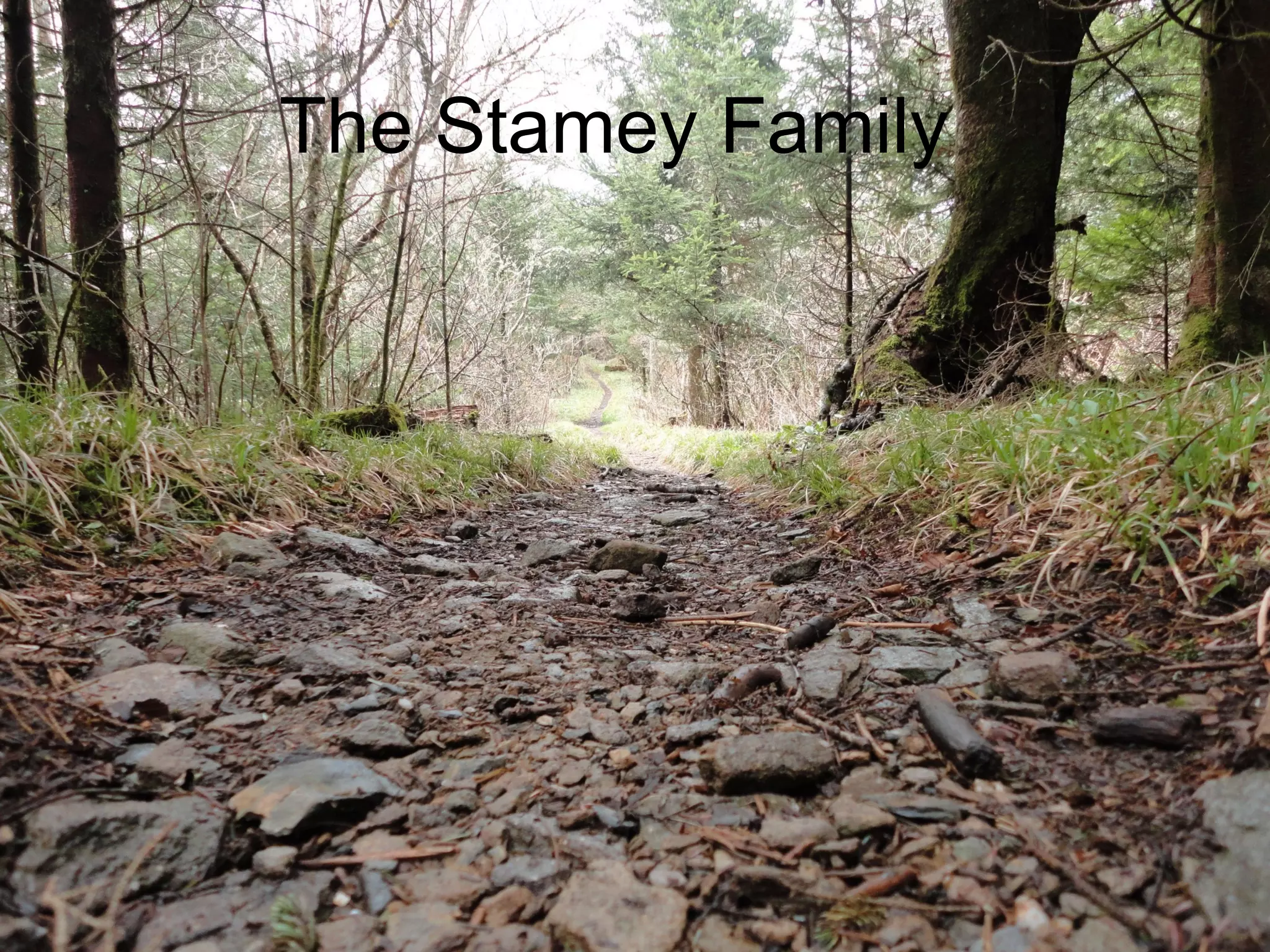 The stamey family | PPT