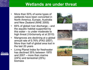 The State of the World’s Wetlands - Building a knowledge-base on ...