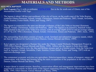 The status of fish angela | PPT