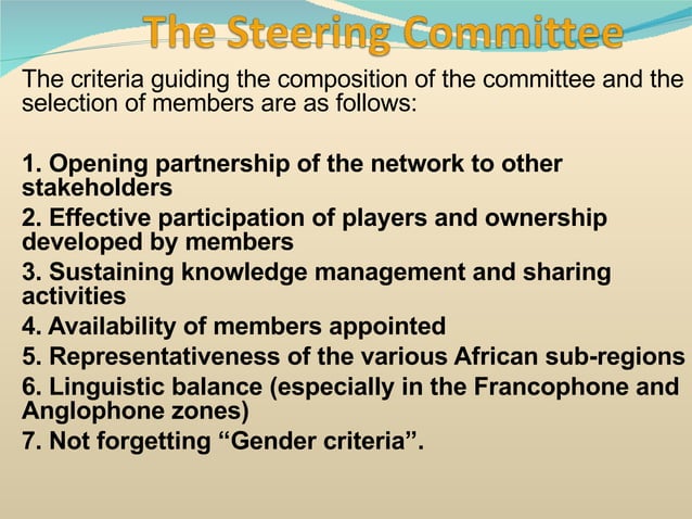 The Steering Committee | PPT | Business | Business and Finance