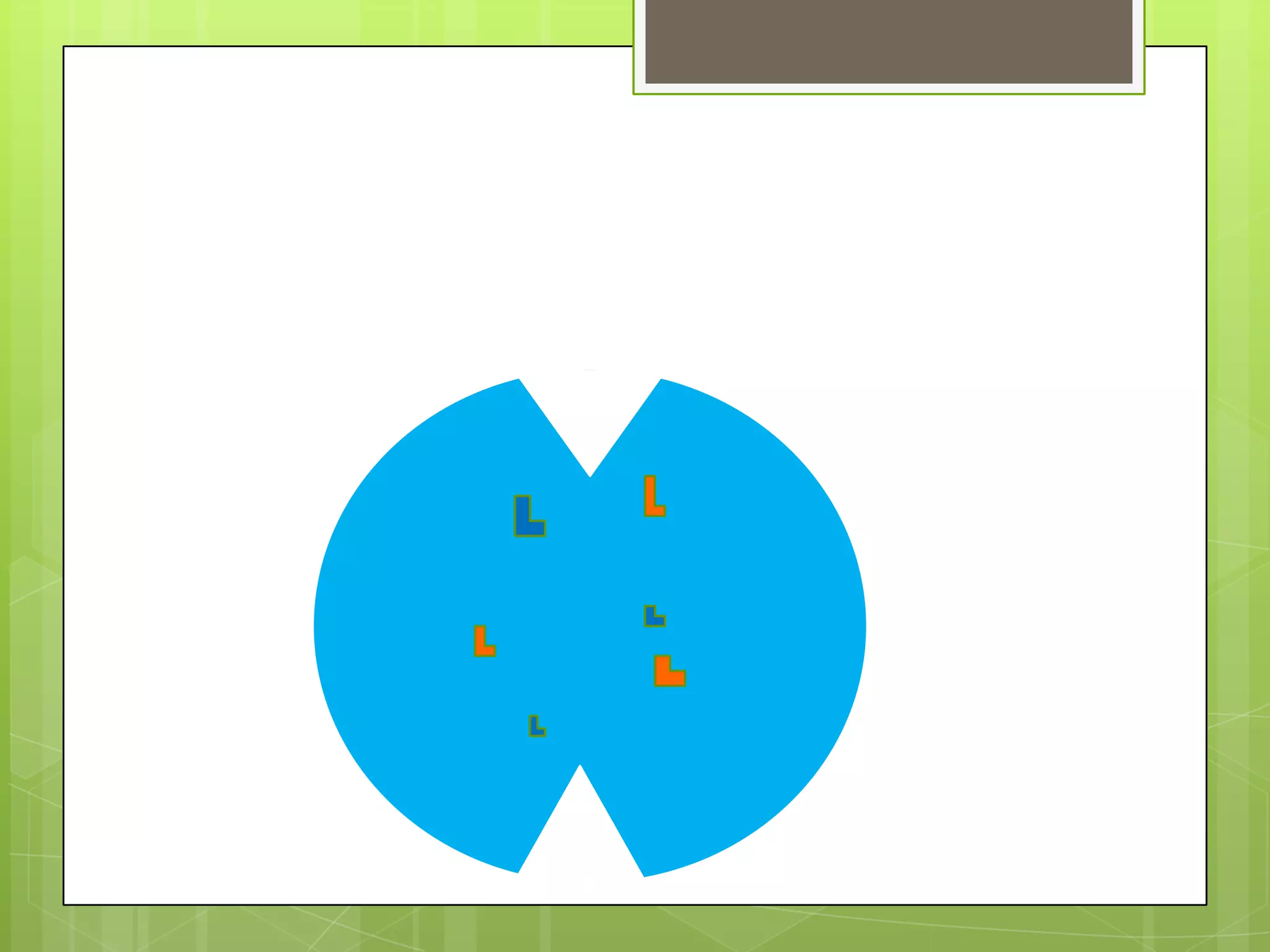 The steps of mitosis | PPTX