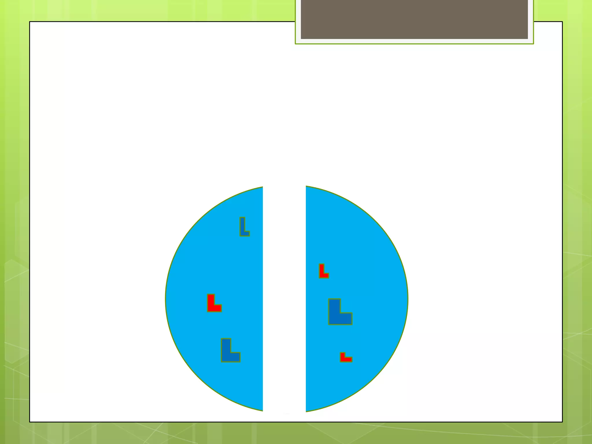 The steps of mitosis | PPTX