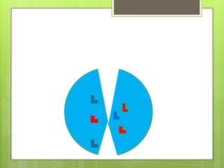 The steps of mitosis | PPTX