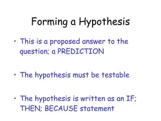The steps of the scientific method | PPT