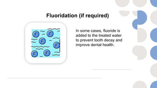 The Steps of Water Treatment Plant.pptx