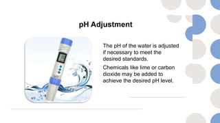 The Steps of Water Treatment Plant.pptx