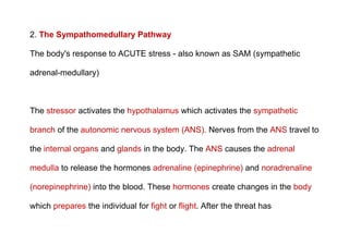The stess response completed | DOCX | Endocrine and Metabolic Diseases ...