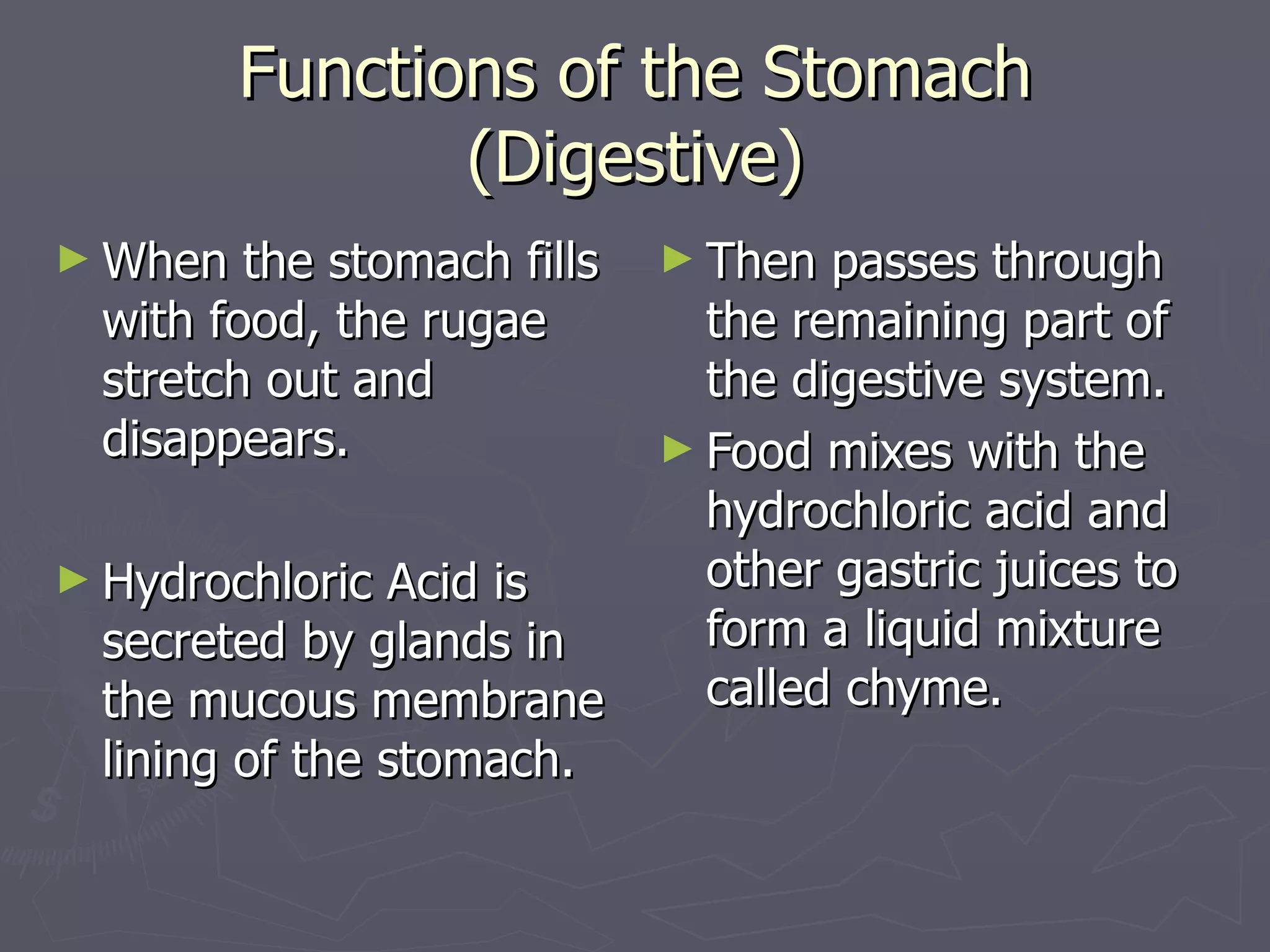The stomach presentation | PPT
