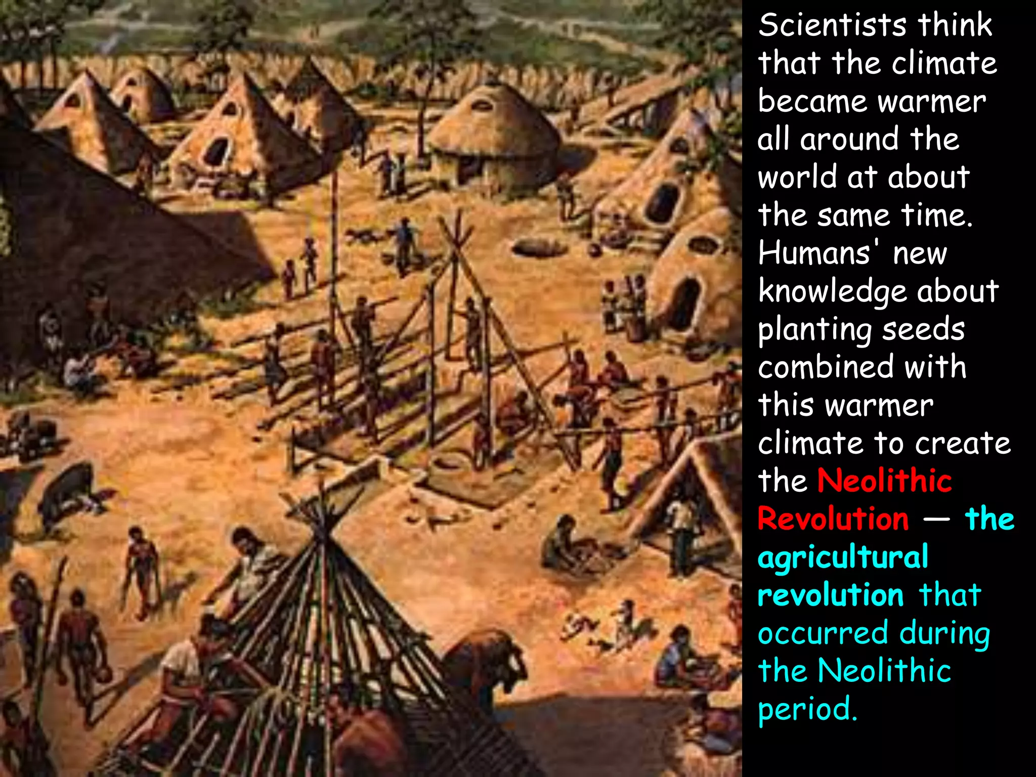 The stone age | PPTX