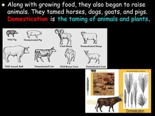 Neolithic Age Domestication Of Animals